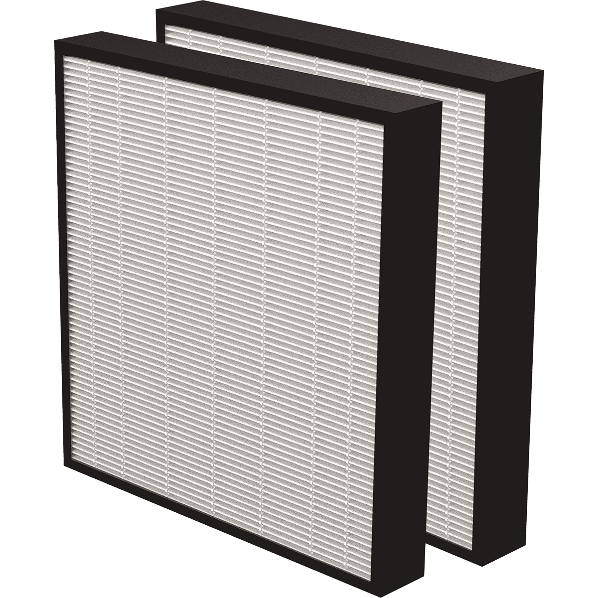 AeraMax PRO True HEPA 2-inch Filter - 2-Pack – Sylvane